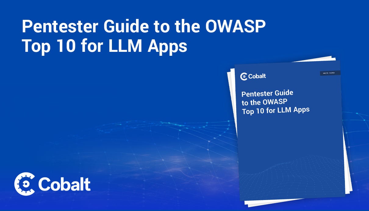 Pentester Guide to the OWASP Top 10 for LLM Apps - TYD